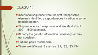 TRANSPOSABLE ELEMENTS | PPTX