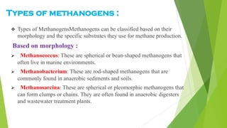 --METHANOGENS- (general microbiology )-- | PDF