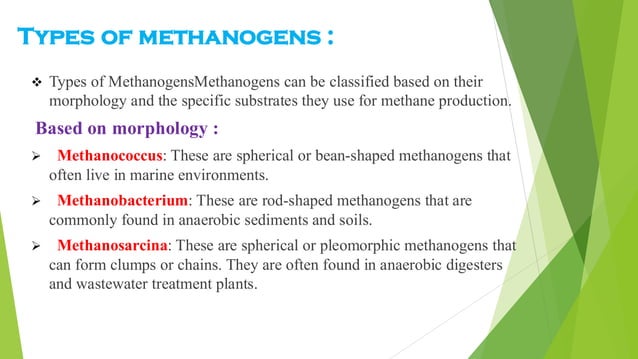 --METHANOGENS- (general microbiology )-- | PPT