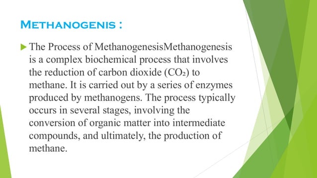 --METHANOGENS- (general microbiology )-- | PPT