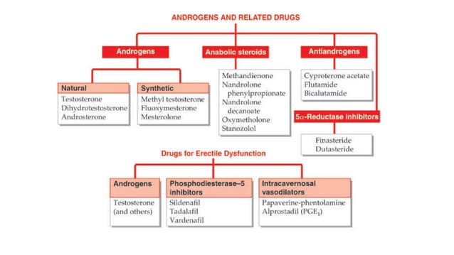 VARSHA Hormone and Hormone Antagonists.pptx