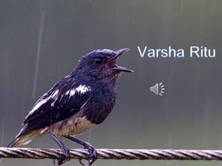 Varsha ritu | PPTX