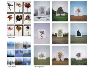 Similarity Photography