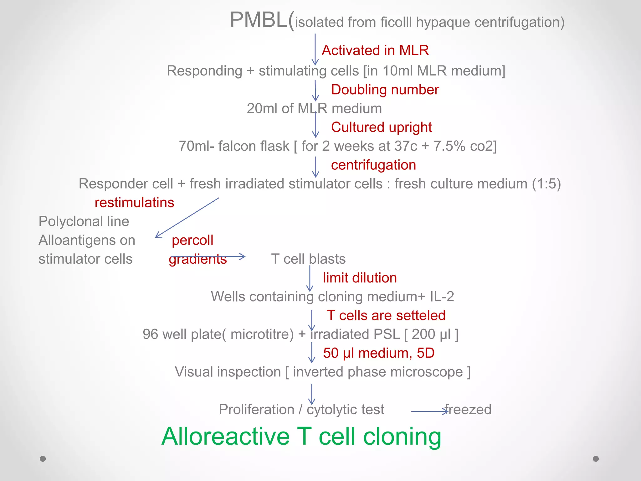 T cell cloning, cloning of alloreactive human t cells, Antigen ...