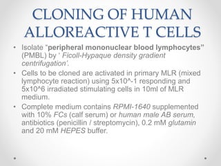 T cell cloning, cloning of alloreactive human t cells, Antigen ...