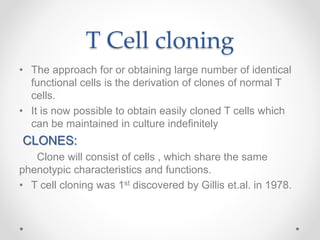 T cell cloning, cloning of alloreactive human t cells, Antigen ...