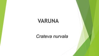 VARUNA.pptx