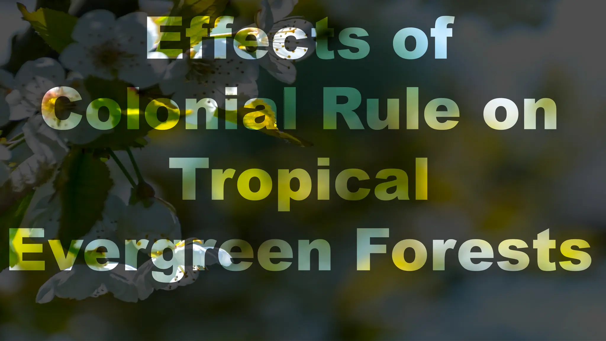 VARUN KHfffffffffffffANANI 9 C - 123455.pptx