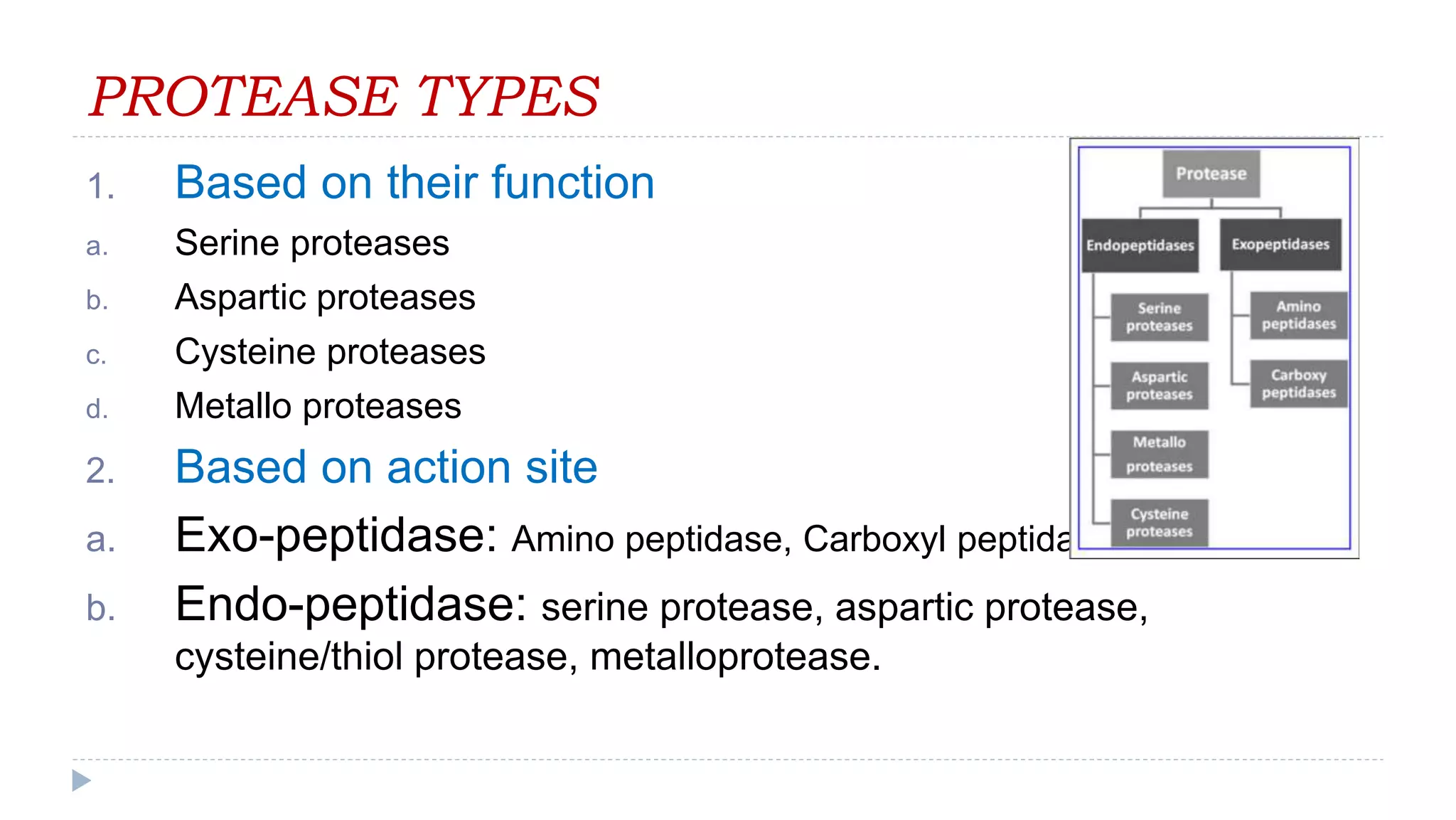 Industrial production of Riboflavin, Amylase and Protease | PPTX