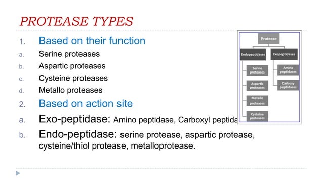 Industrial production of Riboflavin, Amylase and Protease | PPT