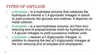 Industrial production of Riboflavin, Amylase and Protease | PPT