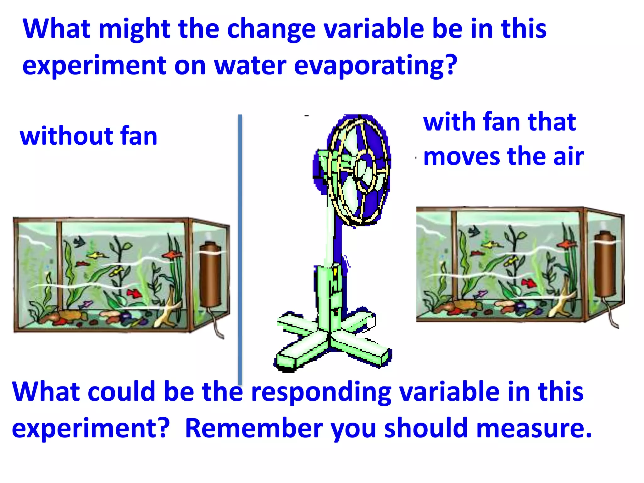 Scientific Method Variables (Teach) | PPTX