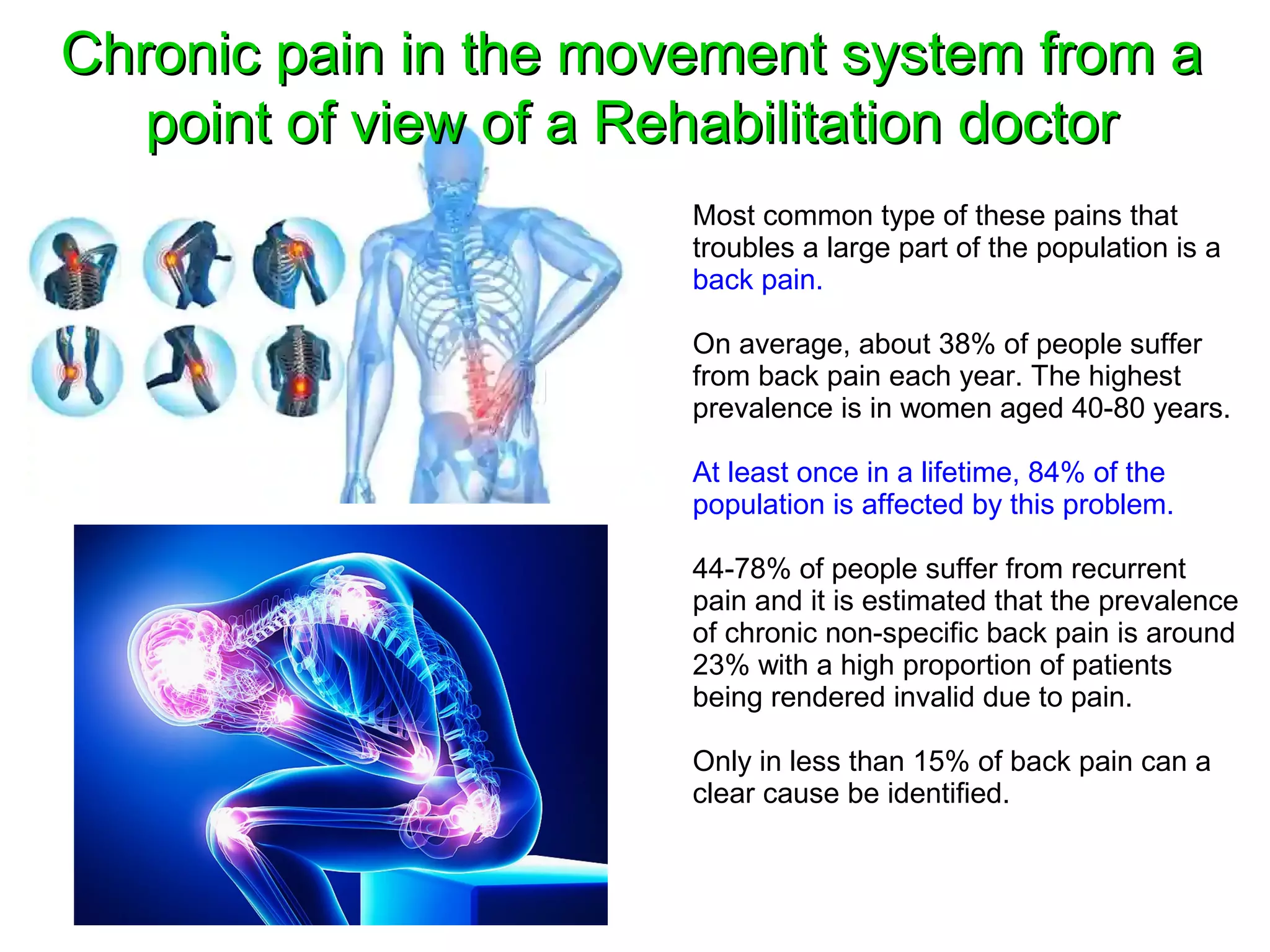 Chronic pain in the movement system from a point of view of a ...