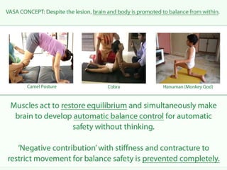 Paradigm Shift with Vasa Concept - Detailed | PPTX