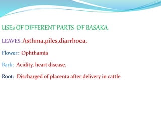 basaka | PPTX