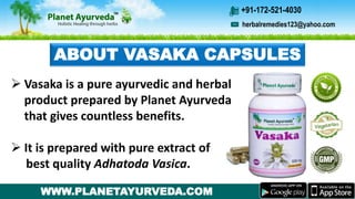 Effective Herbal Remedy for Respiratory Disorders & More Benefits of ...