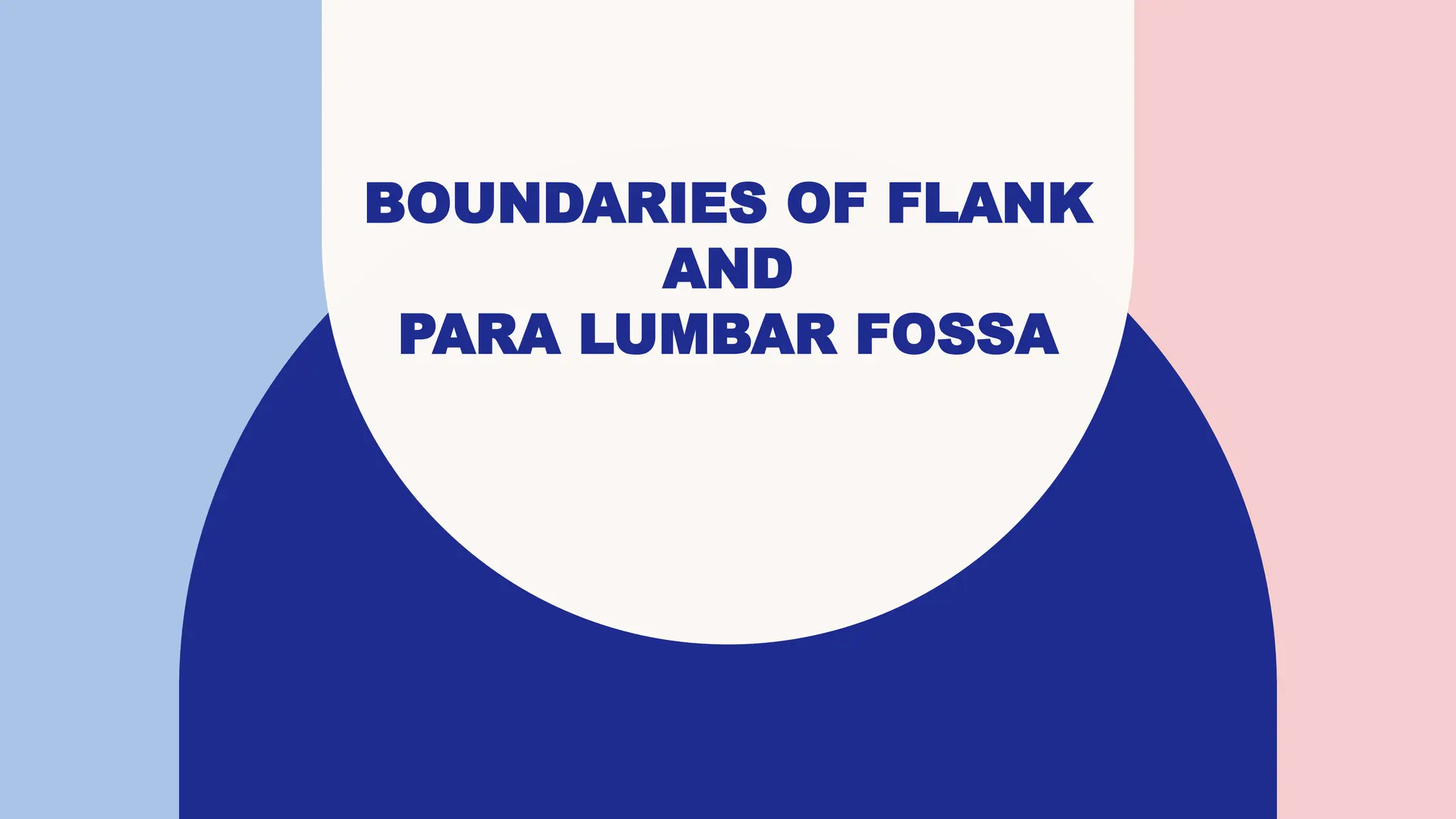 Boundaries of flank and paralumbar fossa | PPTX