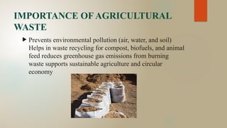 VASANTHAN"Sustainable Agro Waste Management: Transforming Agricultural ...