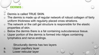 Transdermal drug delivery system | PPTX | Skin Care | Beauty