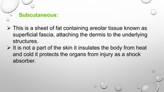 Transdermal drug delivery system | PPTX