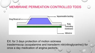 Transdermal drug delivery system | PPTX | Skin Care | Beauty