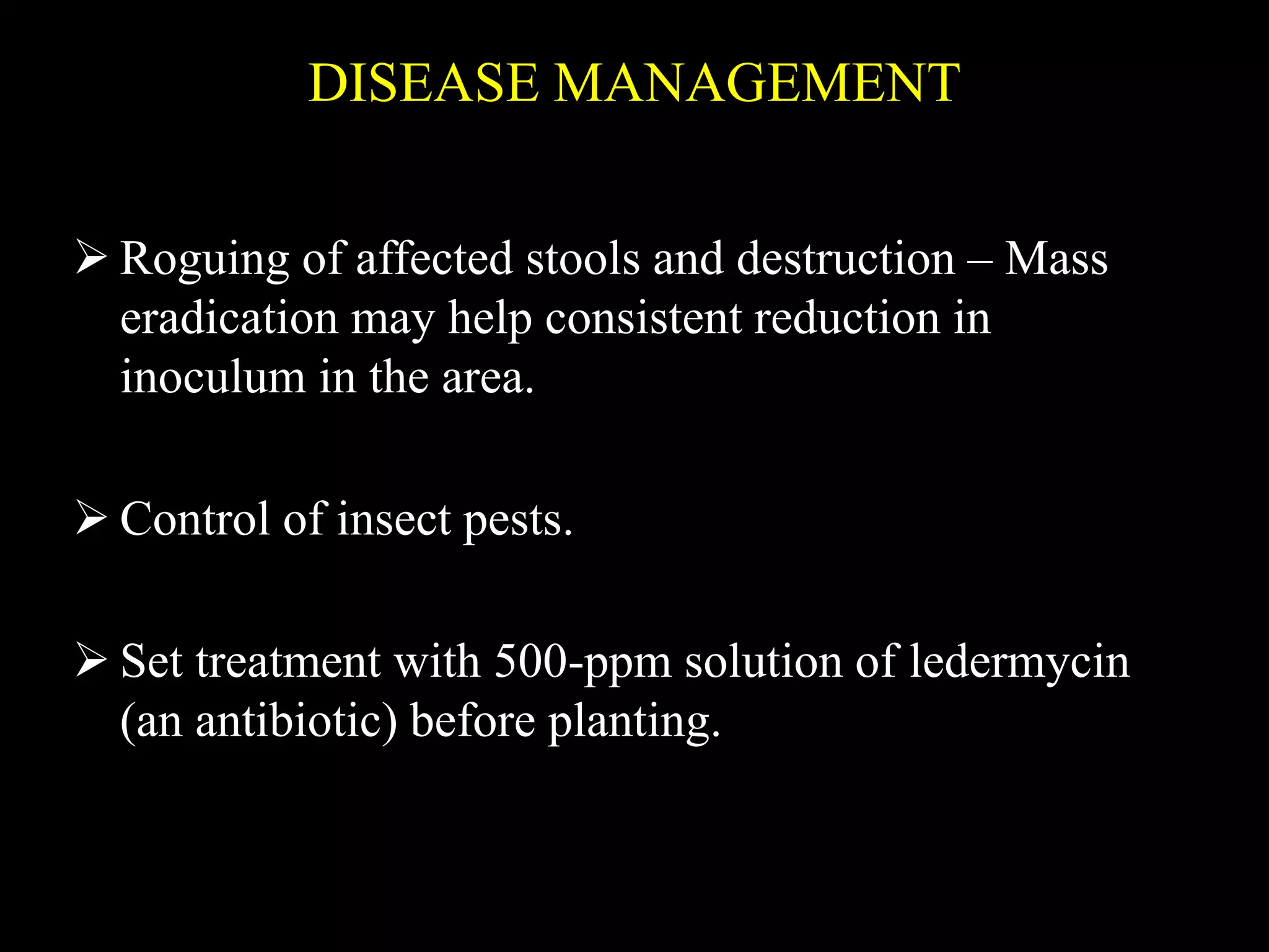 Sugarcane Grassy shoot and Ratoon stunting diseases | PPTX