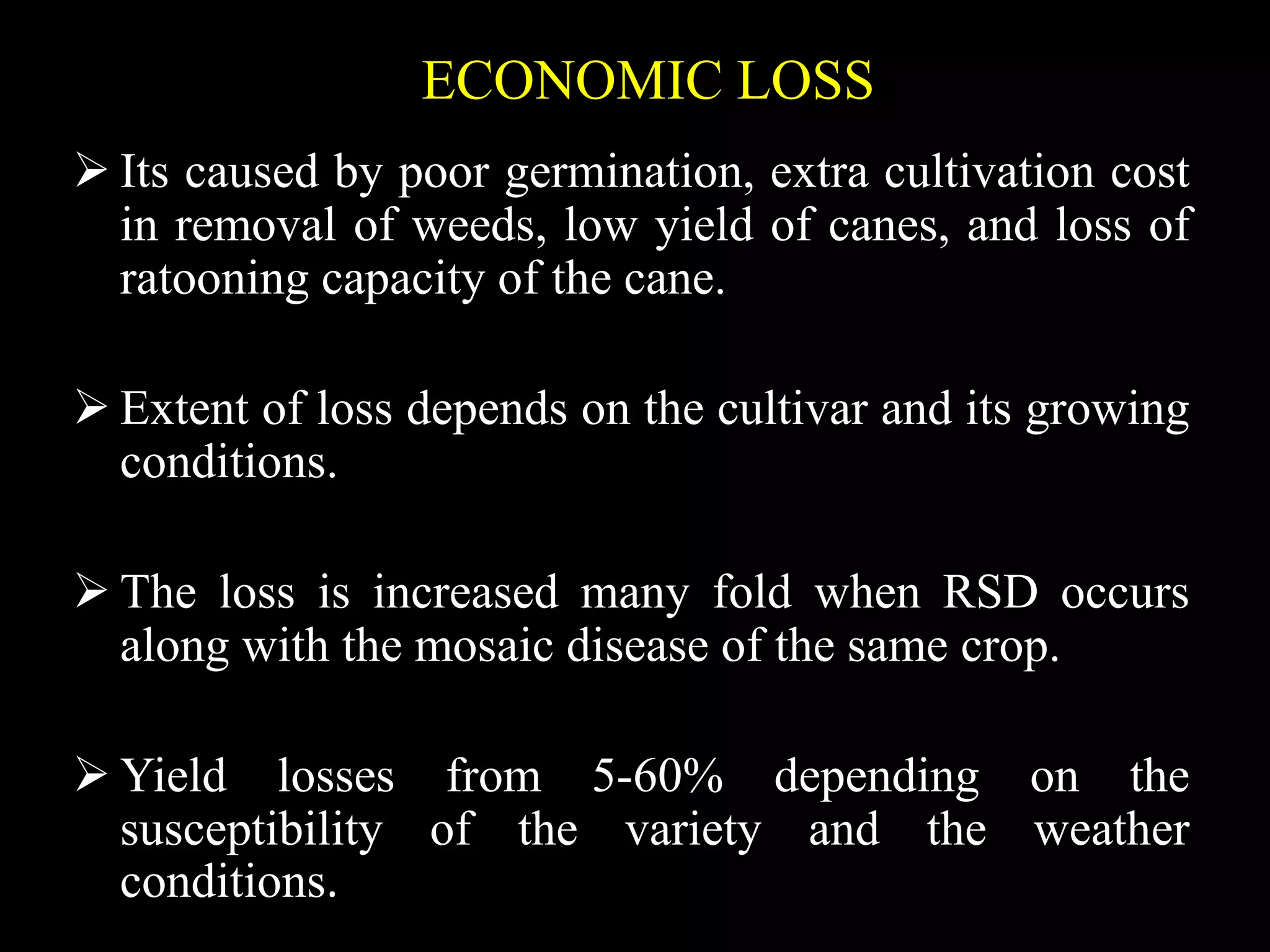 Sugarcane Grassy shoot and Ratoon stunting diseases | PPTX