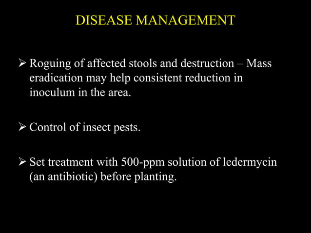 Sugarcane Grassy shoot and Ratoon stunting diseases | PPTX | Gardening ...