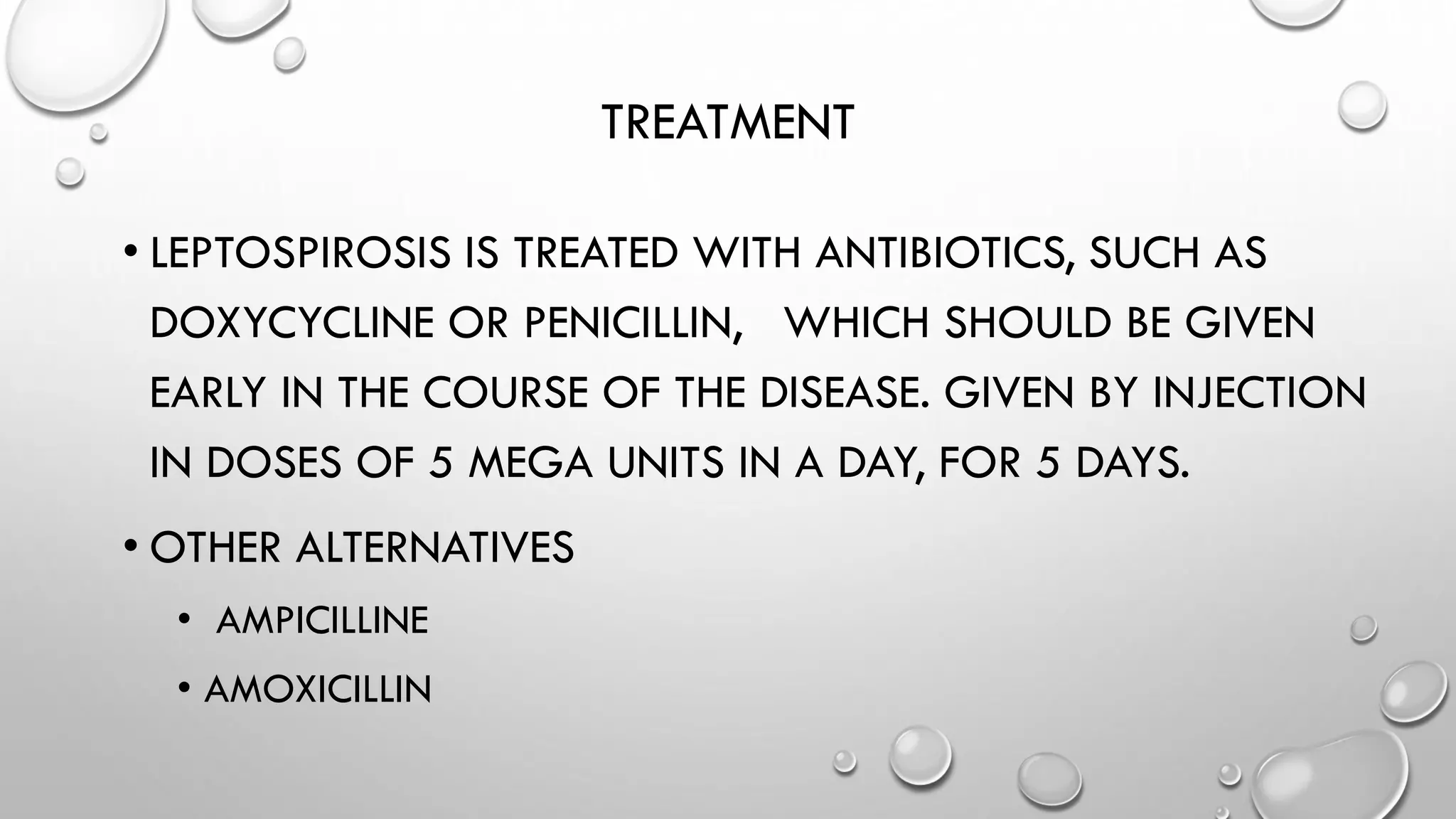 Vasanth's leptospira | PDF