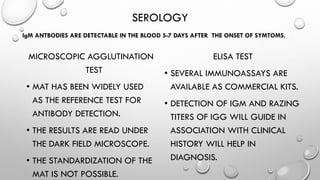 Vasanth's leptospira | PDF