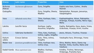 Vasant kusumakar rasa.pptx