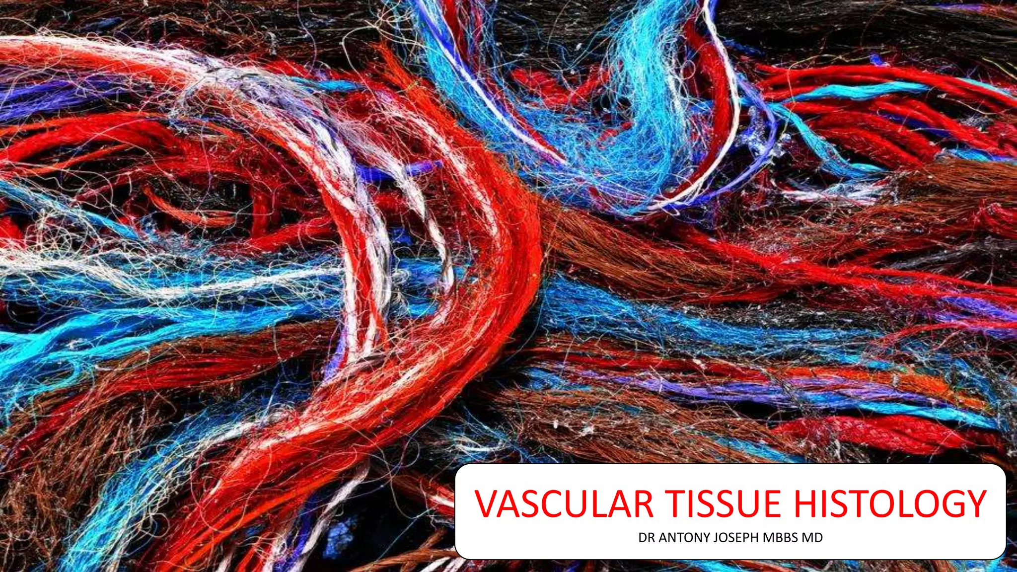 HISTOLOGY OF VASCULAR TISSUE | PPTX