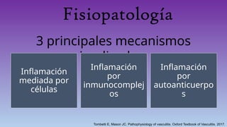 vasculitis seguro social Venezuela vascul | PPTX