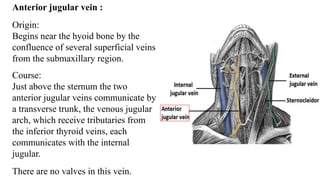 Vascular supply of face and neck | PPTX