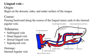 Vascular supply of face and neck | PPTX