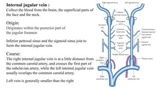 Vascular supply of face and neck | PPTX