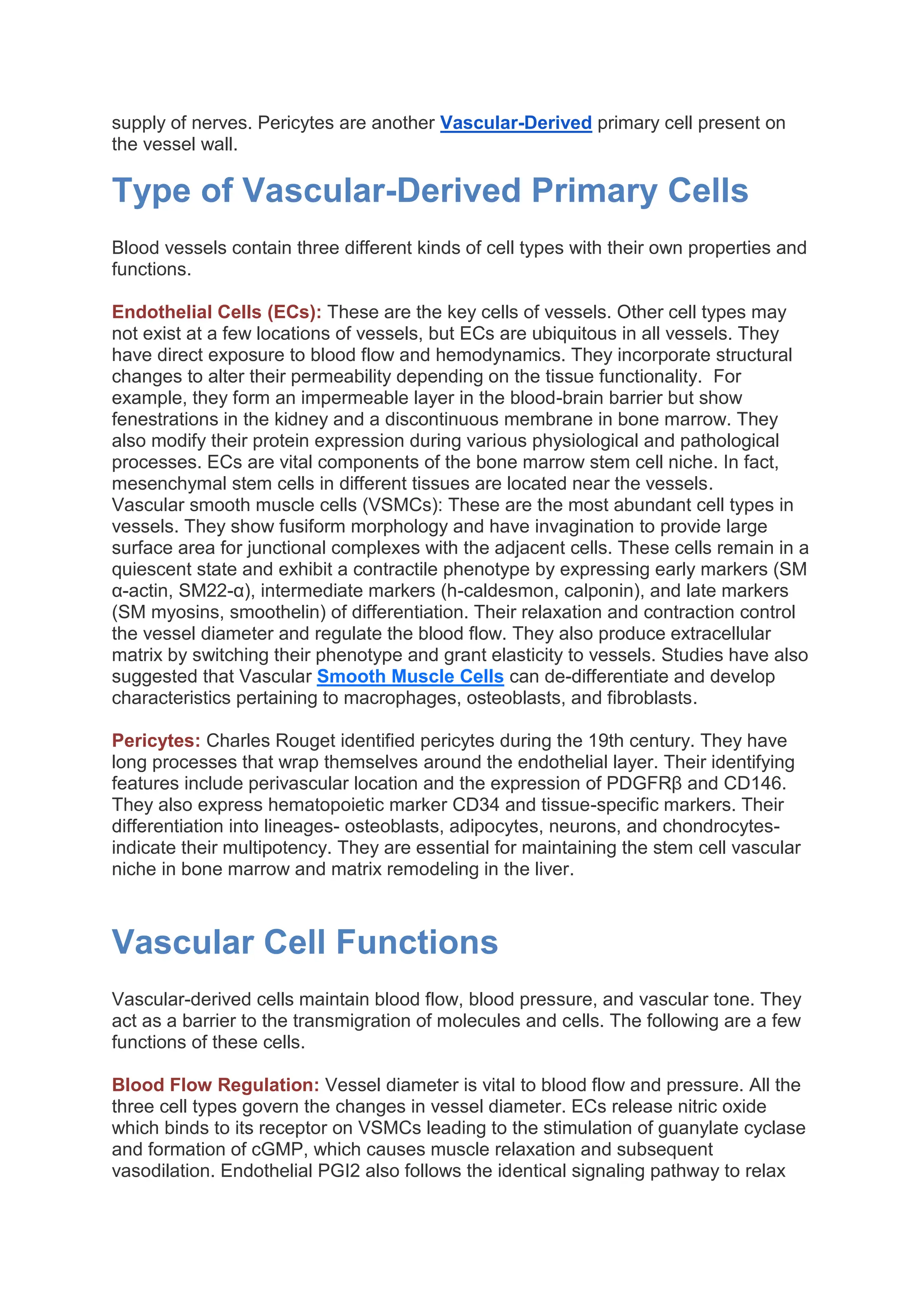 Vascular-Derived Primary Cells: Defining Blood Vessel Tone | PDF