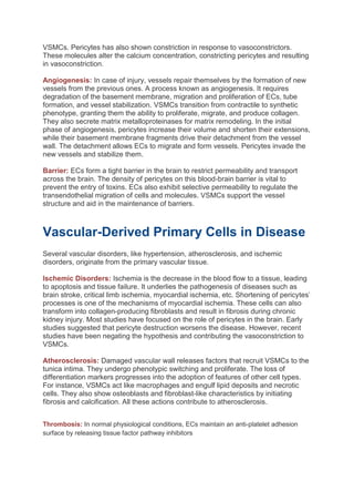 Vascular-Derived Primary Cells: Defining Blood Vessel Tone | PDF
