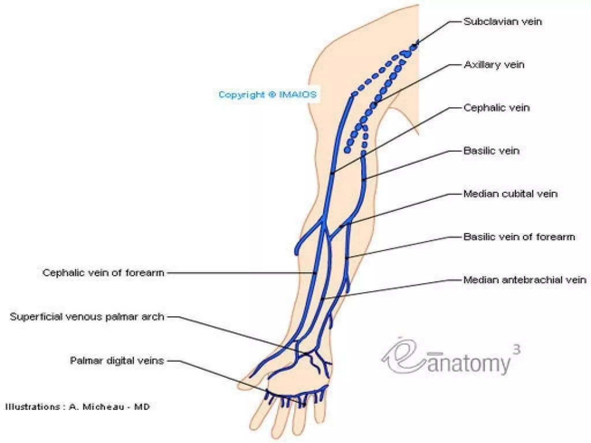 Vascular Access.pptx