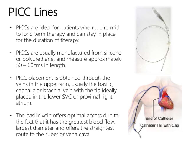 Vascular access devices | PPT