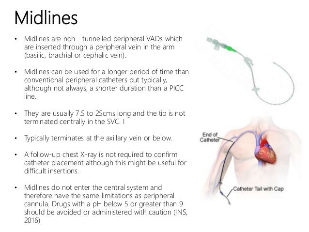 Vascular access devices
