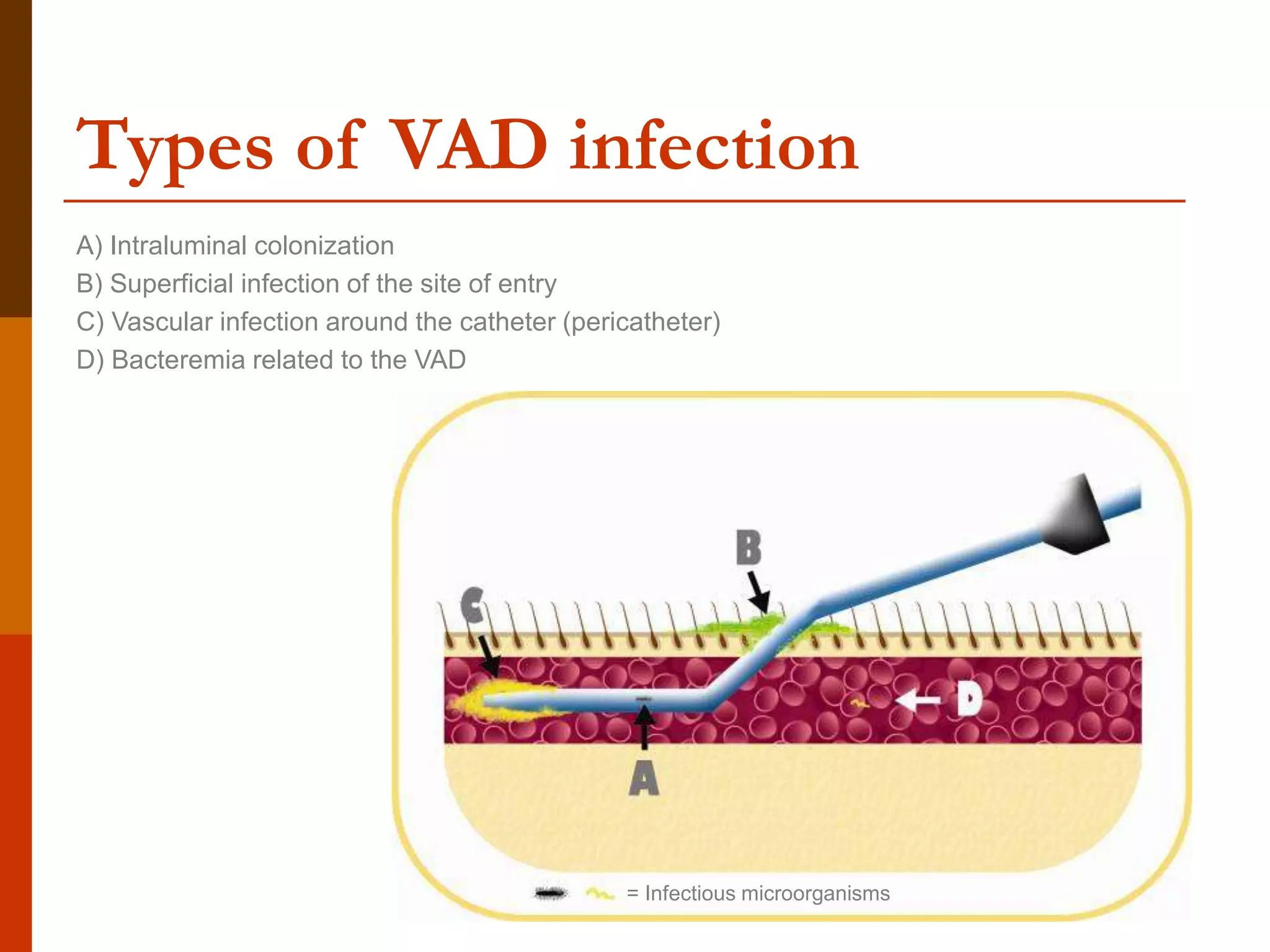 Vascular Access_English_smallpics (1).ppt