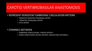 Vascular anatomy of brain | PPTX