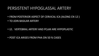 Vascular anatomy of brain | PPTX