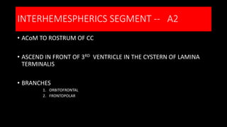 Vascular anatomy of brain | PPTX