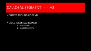 Vascular anatomy of brain | PPTX