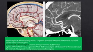 Vascular anatomy of brain | PPTX