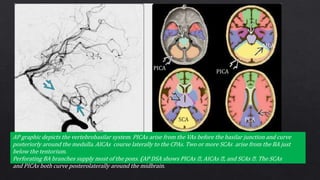 Vascular anatomy of brain | PPTX