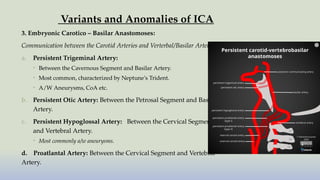 Vascular Anatomy of Brain............pptx