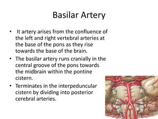 imaging and anatomy of blood supply of brain | PPTX